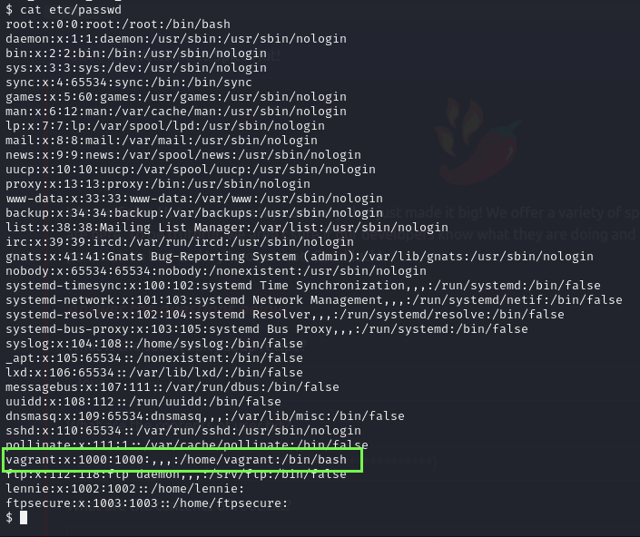 Startup Write-Up | Logan Simão | Wpx